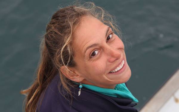 Dolphin Encounter Team